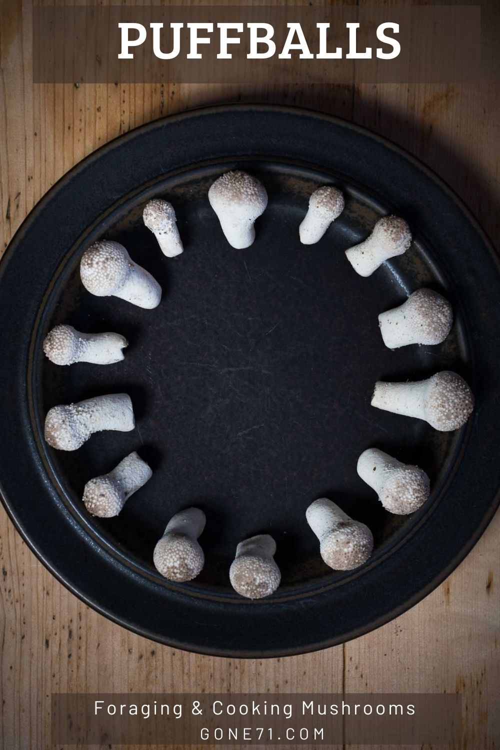 Puffball | Lycoperdon perlatum (recipe) - Gone71° N