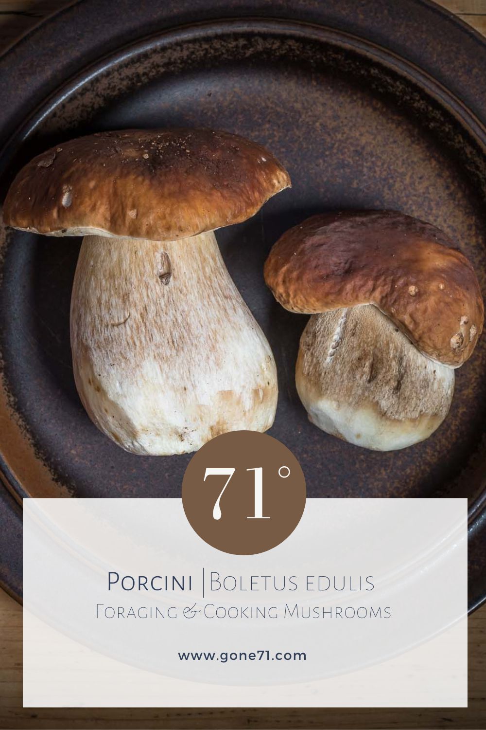 Porcini | Boletus edulis (recipe) - Gone71° N