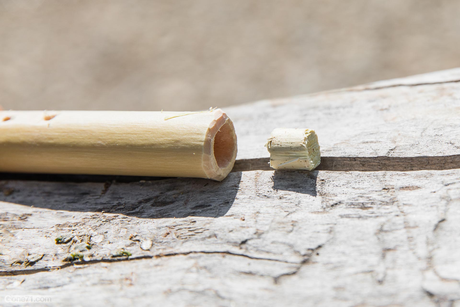 Carving your own flute (from elder) & how to tune it - Gone71° N