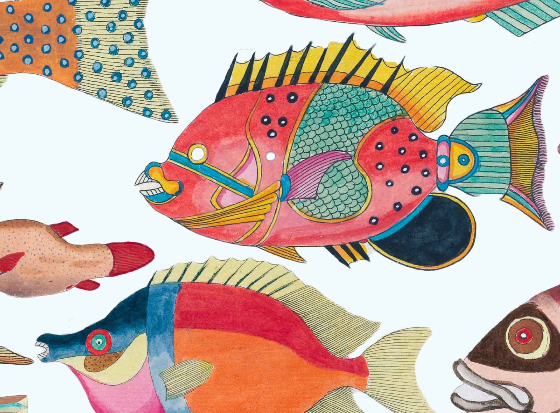 All the fantastic fish – poster - Gone71° N