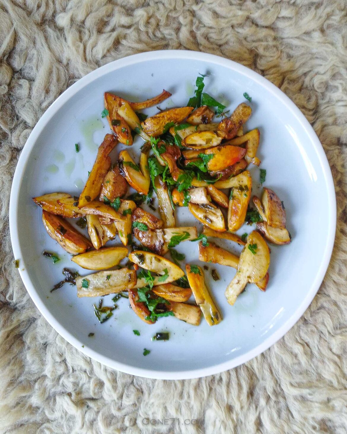 Caesar's mushroom | Amanita caesare - Gone71° N