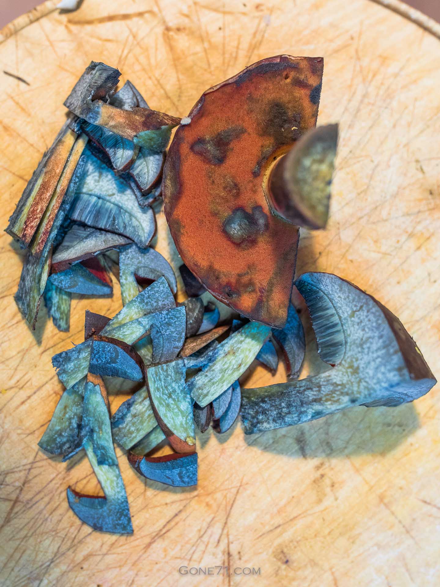 Scarletina bolete | Neoboletus luridiformis - Gone71° N